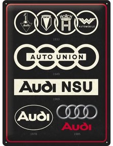 Postershop Plechová cedule: Audi Logo Evolution - 40x30 cm
