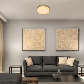 Rabalux Zlaté stropní LED svítidlo Tesia 400mm 36W 71037