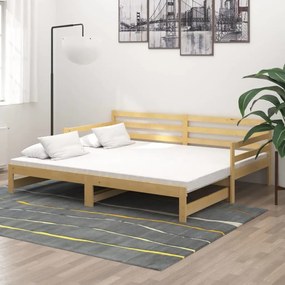 vidaXL Výsuvná denní postel 2 × (90x200 cm) masivní borové dřevo [3083660] Barva: Šedá
