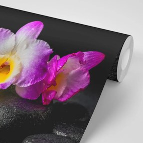 Samolepící fototapeta orchidej na Zen kamenech