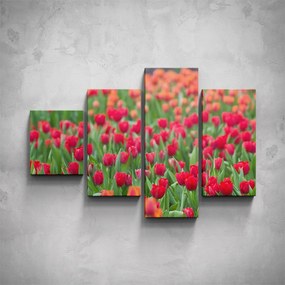 4-dílný obraz - Tulipány - PopyDesign
