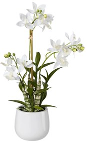 Gasper Japonská orchidej 55 cm (vč.květináče)