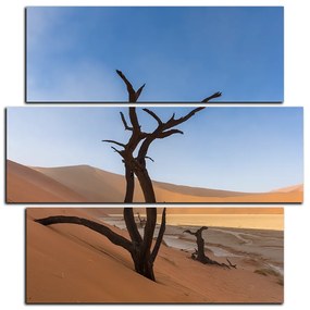 Obraz na plátně - Mrtvý strom v dunách - čtverec 3130D (75x75 cm)