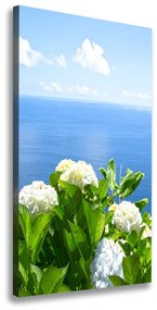 Wallmuralia Vertikální Foto obraz na plátně Hortenzie moře 50x100