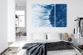 Vícedílný obraz Modrá Slunečnice V Makro Měřítku Nedostatek Nedostatek Přírodní plátno 150x100