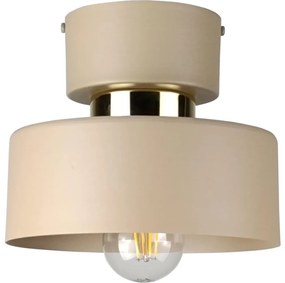 Stropní svítidlo IGNIA 1xE27/60W/230V taupe