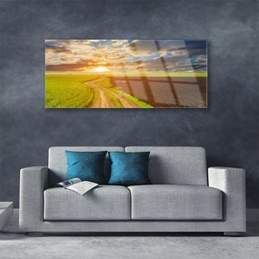 akrylový obraz Pole Nebe Slunce Příroda 125x50 cm