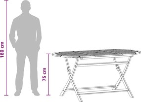Skládací zahradní stůl 160x85x75 cm masivní eukalyptové dřevo 312454