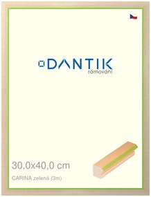 DANTIK rámeček 30x40 | CARINAzelená (Plexi Čiré)