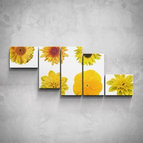 5-dílný obraz - Žluté květy - PopyDesign