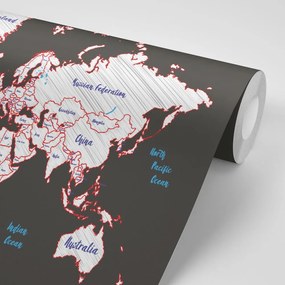 Samolepící tapeta jedinečná mapa světa