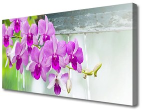 Obraz na plátně Orchideje Kapky Příroda 125x50 cm