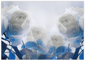 Obraz - Bílé růže (70x50 cm)
