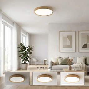 BRILAGI - LED Stm stropní svítidlo MANAROLA LED/36W/230V 3000-6500K pr. 51 cm+DO