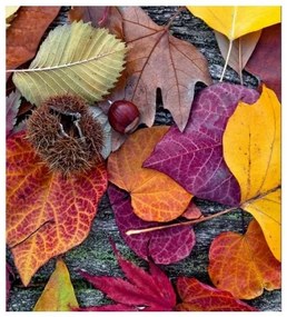 DIMEX | Vliesová fototapeta na zeď Podzimní listí MS-3-0112 | 225 x 250 cm | vícebarevná