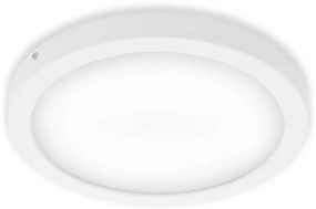 Briloner | Briloner 7141-416 - LED Stropní svítidlo FIRE LED/21W/230V | BL1451