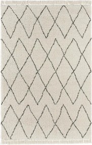 Mint Rugs - Hanse Home koberce Kusový koberec Desiré 103324 Creme - 200x290 cm