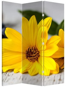 Paraván - Žluté květy (126x170 cm)
