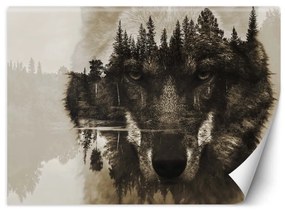 Fototapeta, Vlk lesní zvíře v mlze - 250x175 cm