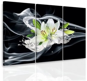 Malvis ® Vícedílný obraz - Lilie a diamanty Velikost: 90x60 cm