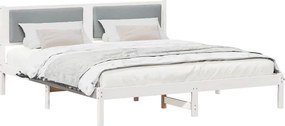 Rám postele Světle šedá 200 x 200 cm Masivní borové dřevo 3394232