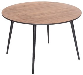Ořechový konferenční stolek RAGABA PAWI 70 cm