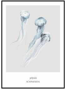 Plakát Jellyfish A4 (21 x 29,7 cm)