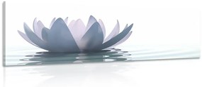 Obraz lotosový květ - 135x45 cm