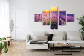 Vícedílný obraz Levandulové Pole Při Západu Slunce 3D Nedostatek Nedostatek Plátno Canvas 250x150