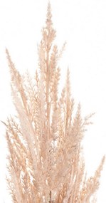 Větvička pampové trávy  91cm pink