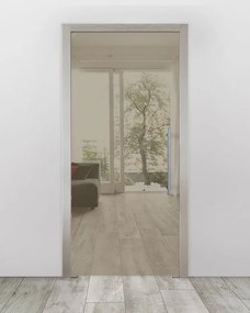 Celoskleněné dveře do pouzdra - Planibel bronz Průchozí šířka (cm): 100, Průchozí výška (cm): 210