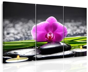 Malvis ® Vícedílný obraz - Orchidej při svíčkách Velikost: 90x60 cm