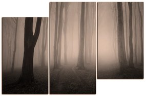 Obraz na plátně - Mlha v lese 1182FD (105x70 cm)