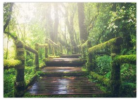 Obraz - dřevěné schody v lese (70x50 cm)
