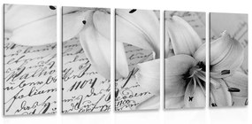 5-dílný obraz lilie na starém dokumentu v černobílém provedení - 200x100 cm
