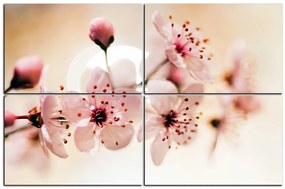 Obraz na plátně - Malé květy na větvi 1173E (120x80 cm)