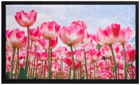 rohožka 585 Image 45x75cm 003 Tulipány