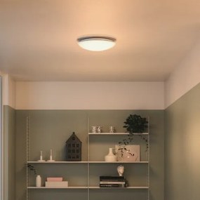 LED nástěnné a stropní svítidlo Philips Mauve teplá bílá 32096/31/P0