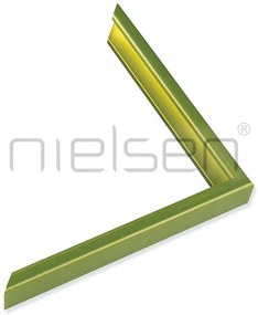 DANTIK - Zarámované zrcadlo - rozměr s rámem cca 60x80 cm z lišty NIELSEN zelená | P269-207 (7269207)