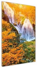 Wallmuralia Vertikální Fotoobraz na skle Vodopád podzim 50x100
