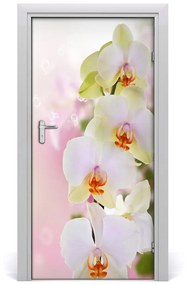 Samolepící fototapeta na dveře Bílá orchidej 85x205 cm