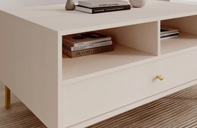 ADRK Furniture Konferenční stolek Tili ADRK-CT-TIL-BS