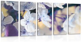 5-dílný obraz kvetoucí větvička třešně - 100x50