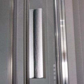 Roth TOWER LINE TCN1 Jednokřídlé sprchové dveře pro instalaci do niky 110 cm Profil: Matný elox, Sklo: Hladké čiré