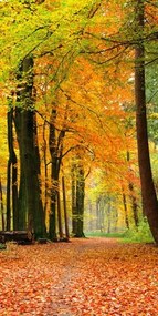 Dvoudílná vliesová fototapeta Podzimní les, rozměr 150x250cm, MS-2-0099