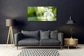 Obraz na skle Květ Listy 140x70 cm