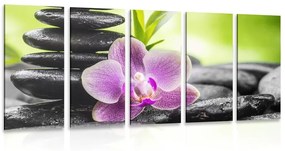 5-dílný obraz tropická Zen kompozice - 200x100 cm