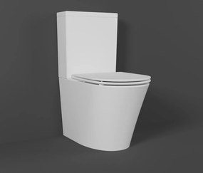 Bruckner Fein wc kombi 36 x 83,5 x 61 cm Rimless spodní zadní odpad bílá 201.428.4
