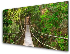 Plexisklo-obraz Most Džungle Tropický Les 125x50 cm