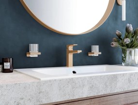 Hansgrohe AddStoris, nádobka na ústní hygienu, kartáčovaný bronz, HAN-41749140